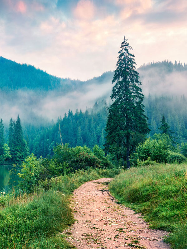 Home - Iter-Silva Financial Group